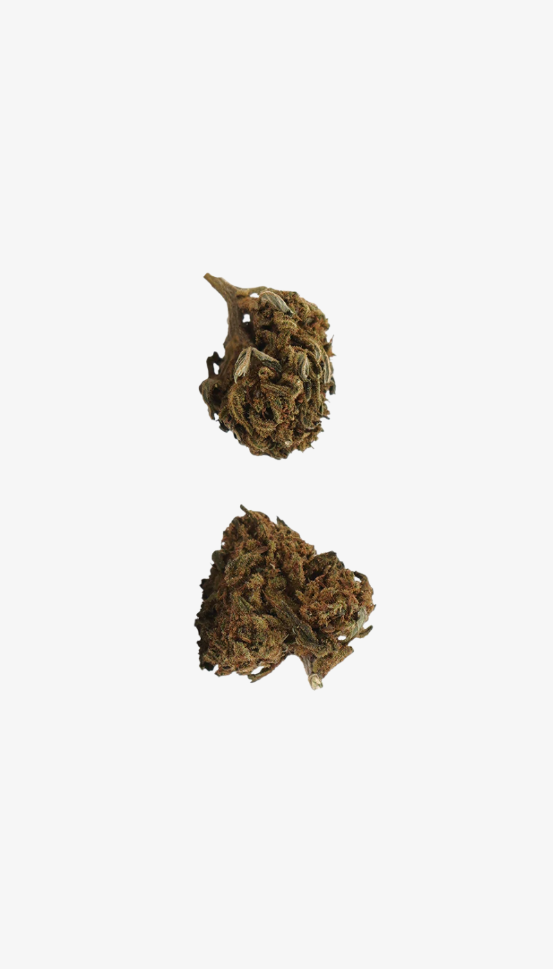 Hawaiian CBD small buds – Fleurs greenhouse premium