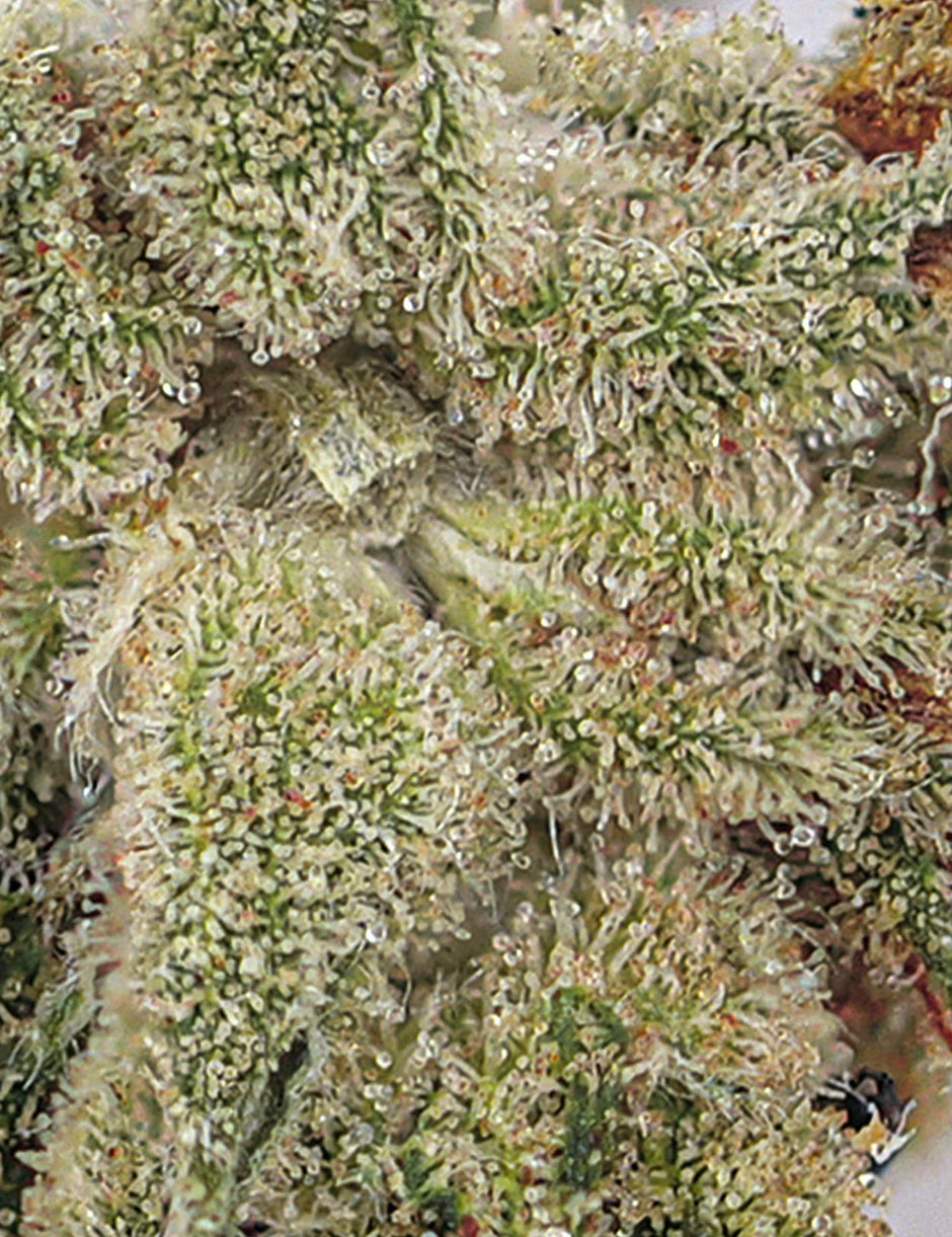 Achat CBD légal en France - Vente CBD en ligne | High Society