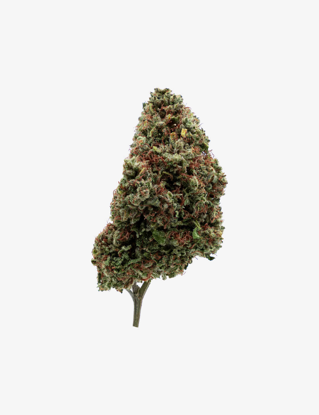 Critical 2.0 CBD – Fleurs hybrides douces et aromatiques