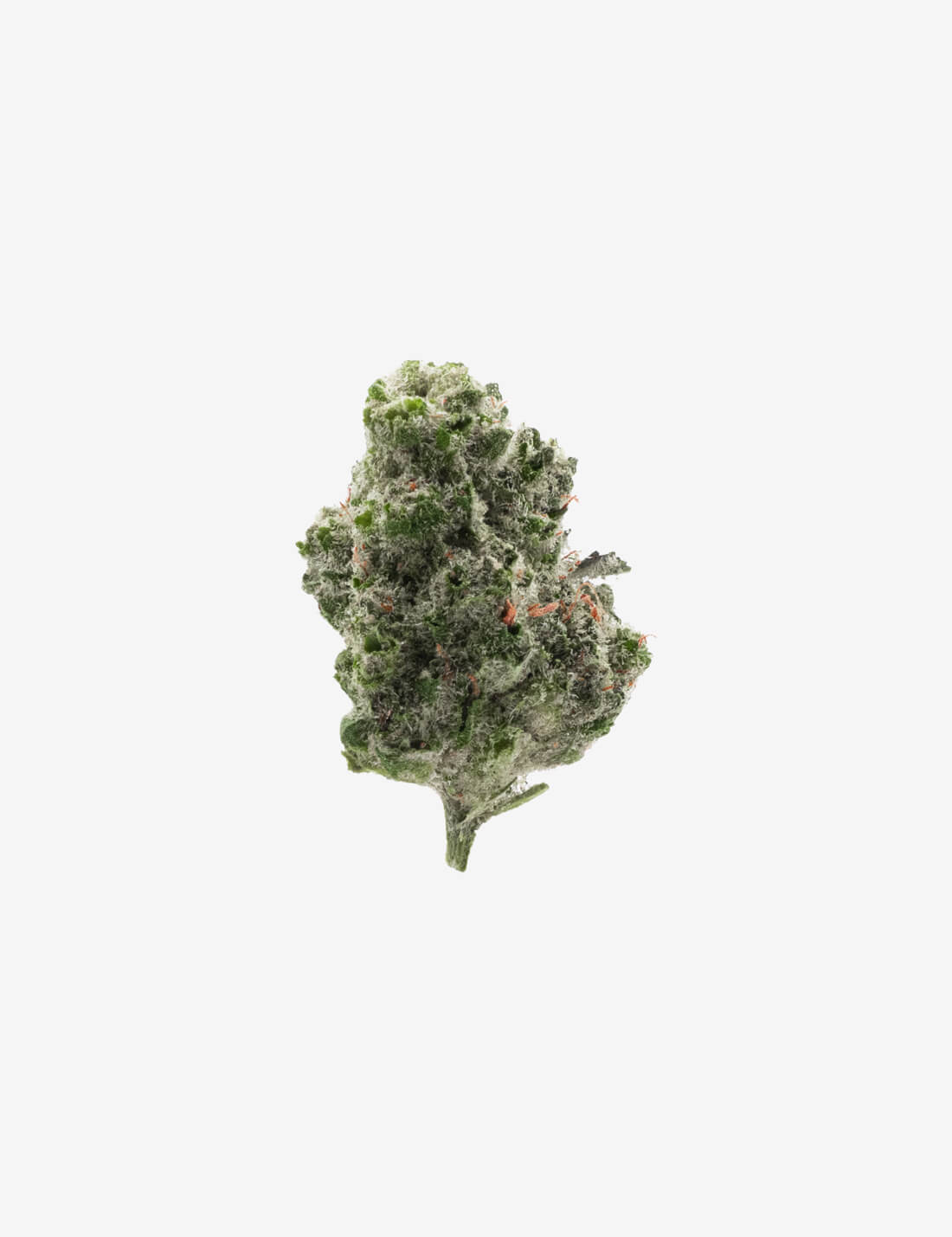 Cookies Small Buds