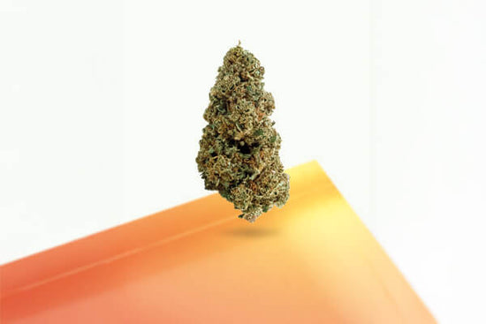 Achat CBD légal en France - Vente CBD en ligne | High Society