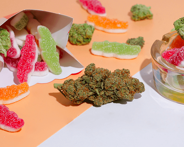 Achat CBD légal en France - Vente CBD en ligne | High Society