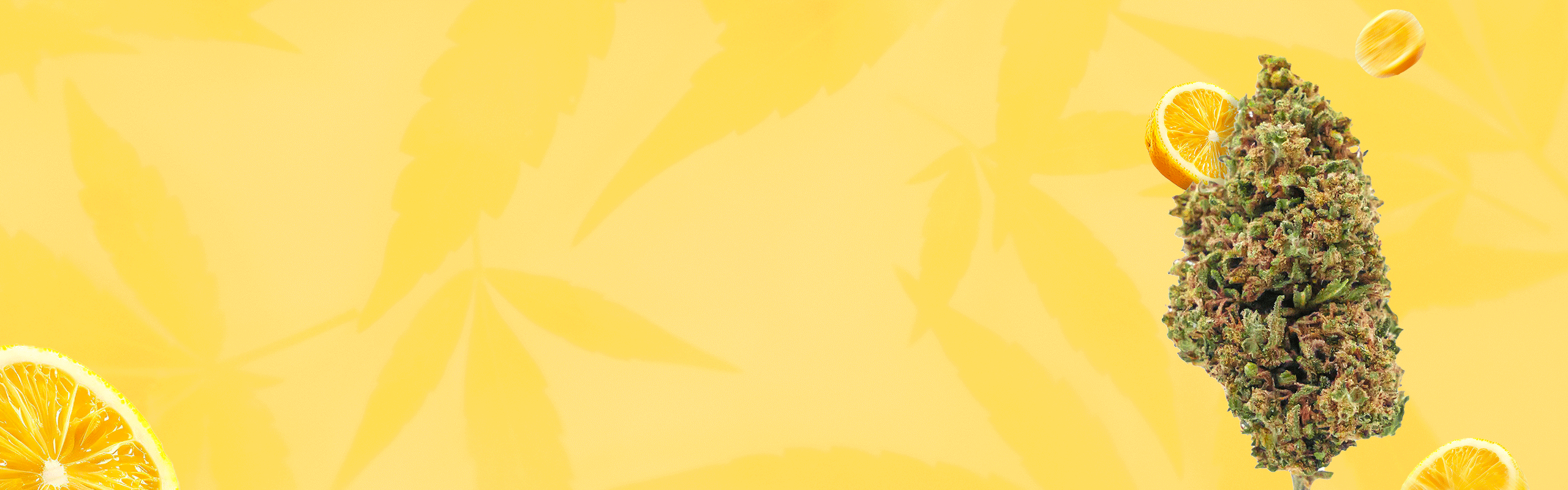 Achat CBD légal en France - Vente CBD en ligne | High Society