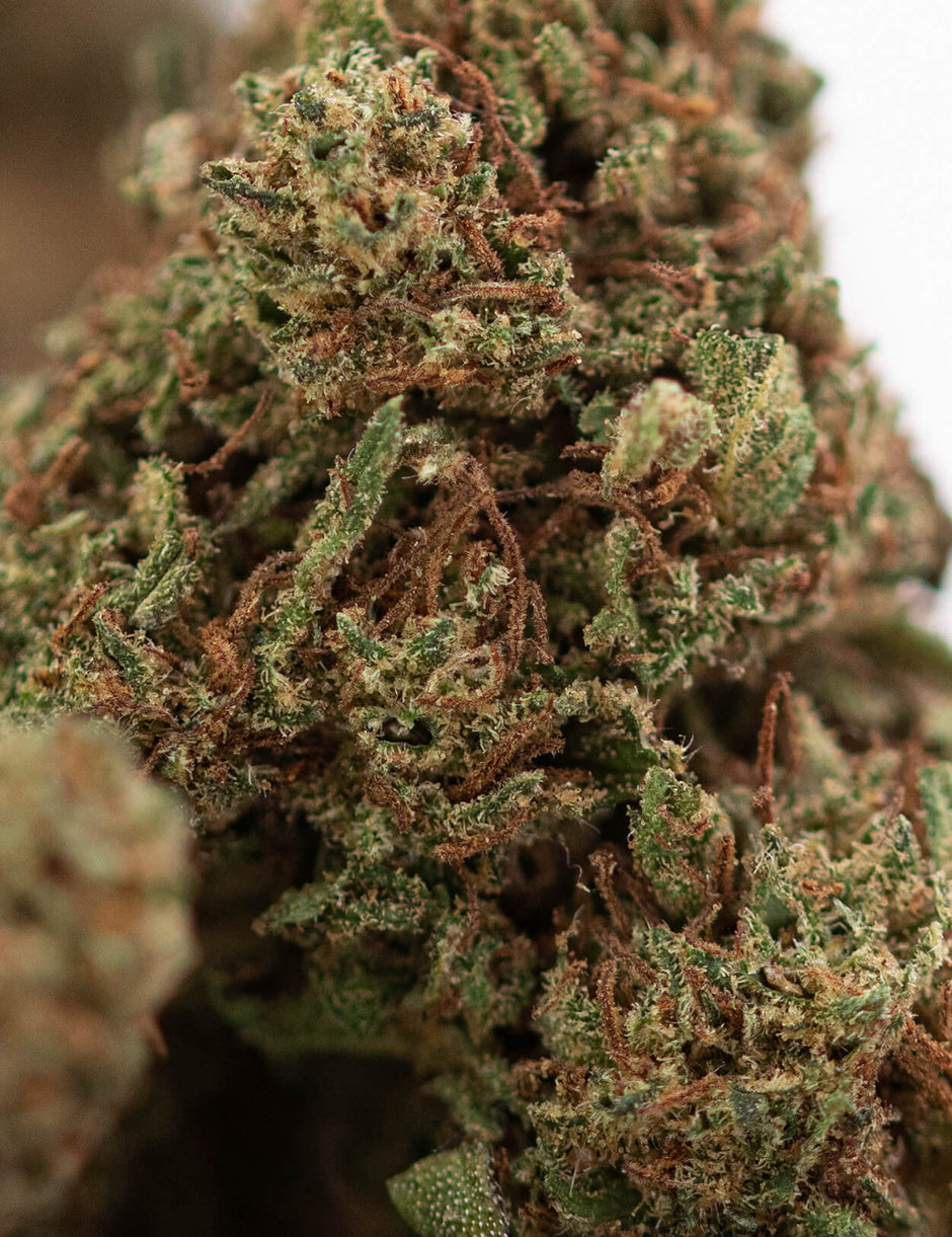 Achat CBD légal en France - Vente CBD en ligne | High Society